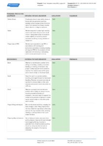 Examples of Behavior Based Safety Observations