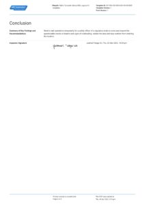 Structural Integrity Report Template, PDF Form, and Details