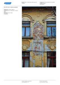 Structural Integrity Report Template, PDF Form, and Details