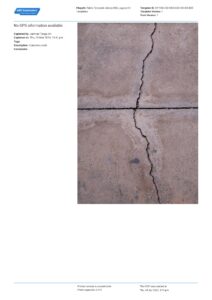 Structural Integrity Report Template, PDF Form, and Details